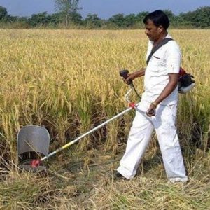 Rice Brush Cutter – OG Power